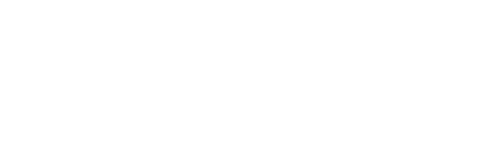 Data Transformation – treXis